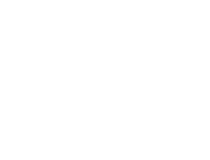 About Us | BI WORLDWIDE
